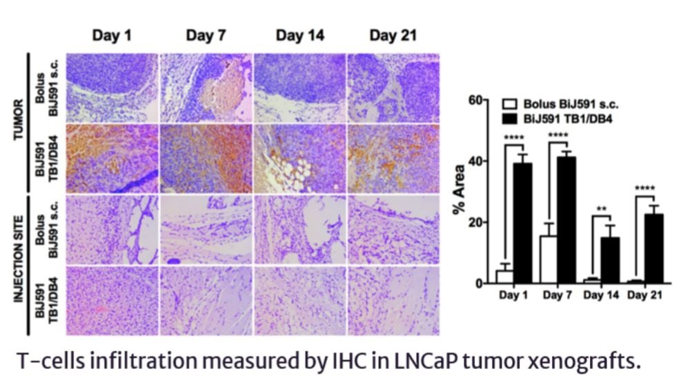 The Bispecific Antibody Landscape