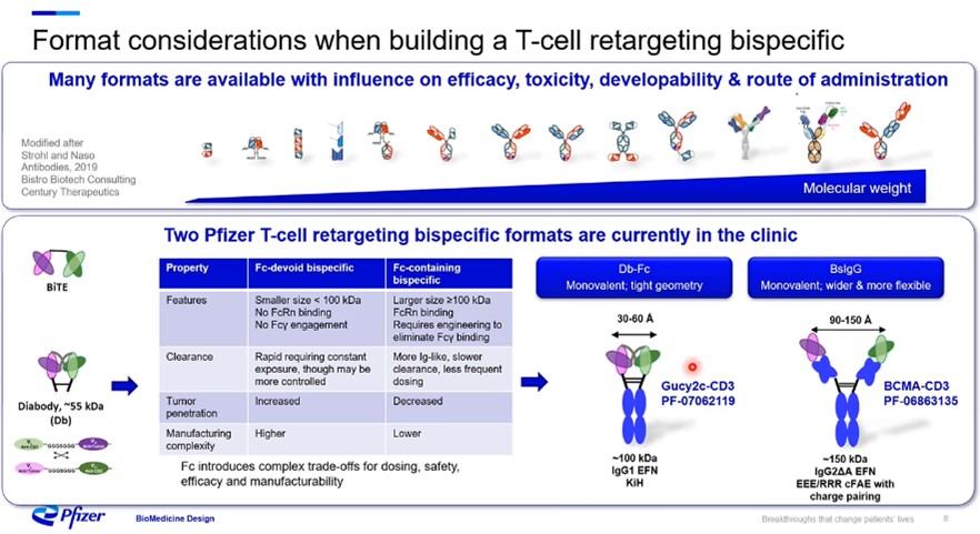 T Cell Engagement and Redirection – Strategies, Methods, and T Cell Design