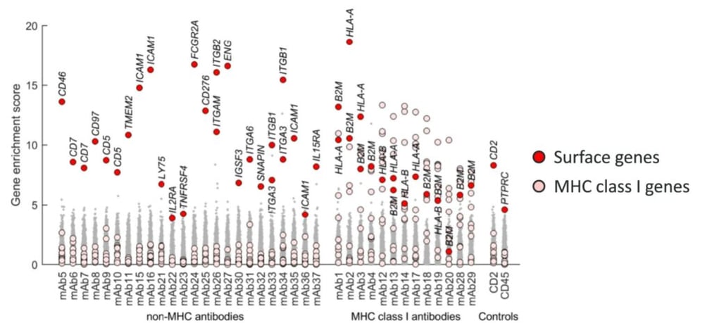 Accelerating Target Deconvolution for Therapeutic Antibody Candidates