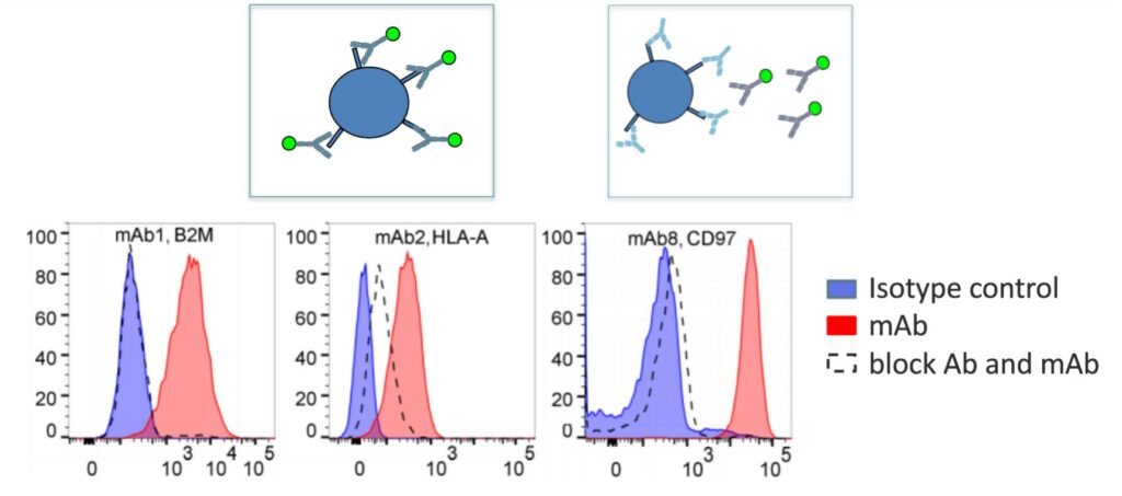 Accelerating Target Deconvolution for Therapeutic Antibody Candidates