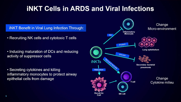 iNKT Cells and Their Applications in Immuno-Oncology