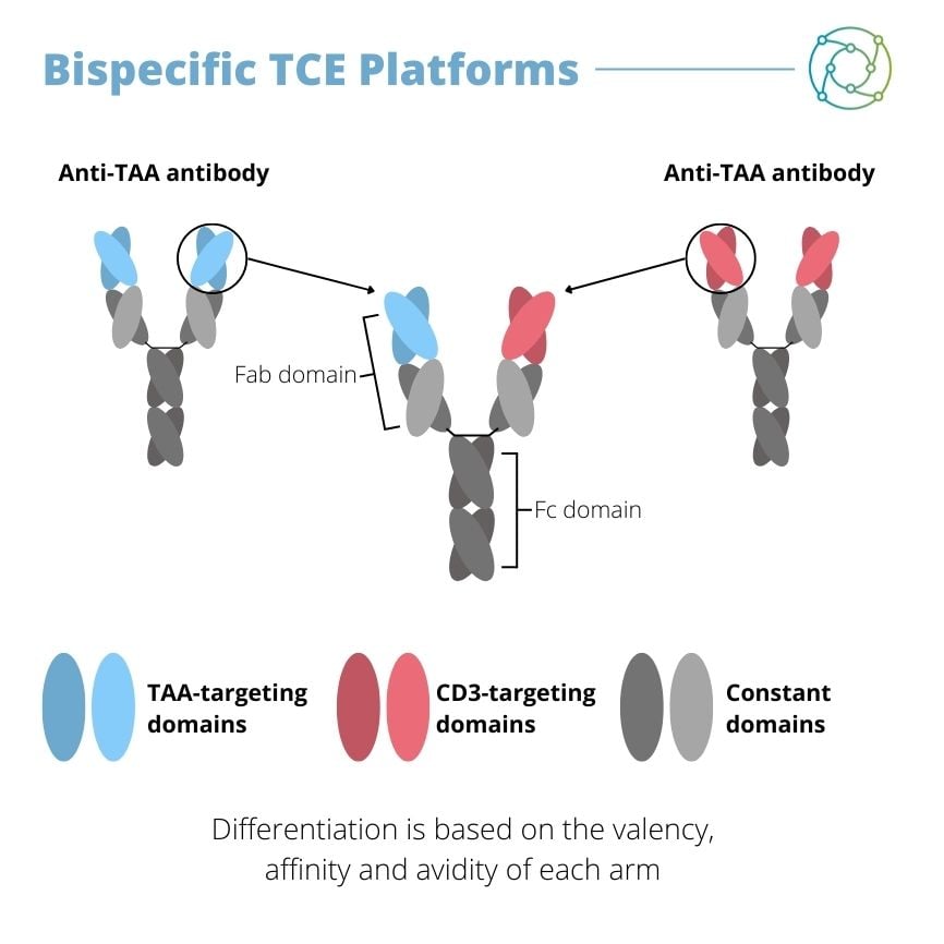 Bispecific T Cell Engagers and Synthetic Immunity: Circumventing Immune ...