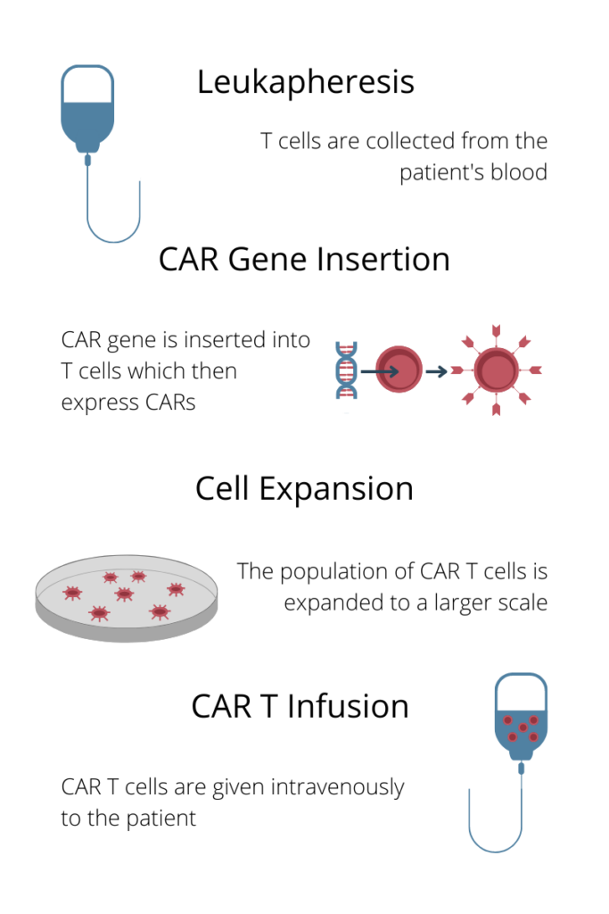 AAV Gene Therapy and CAR T Therapies: Immunogenicity and Immunoassay ...